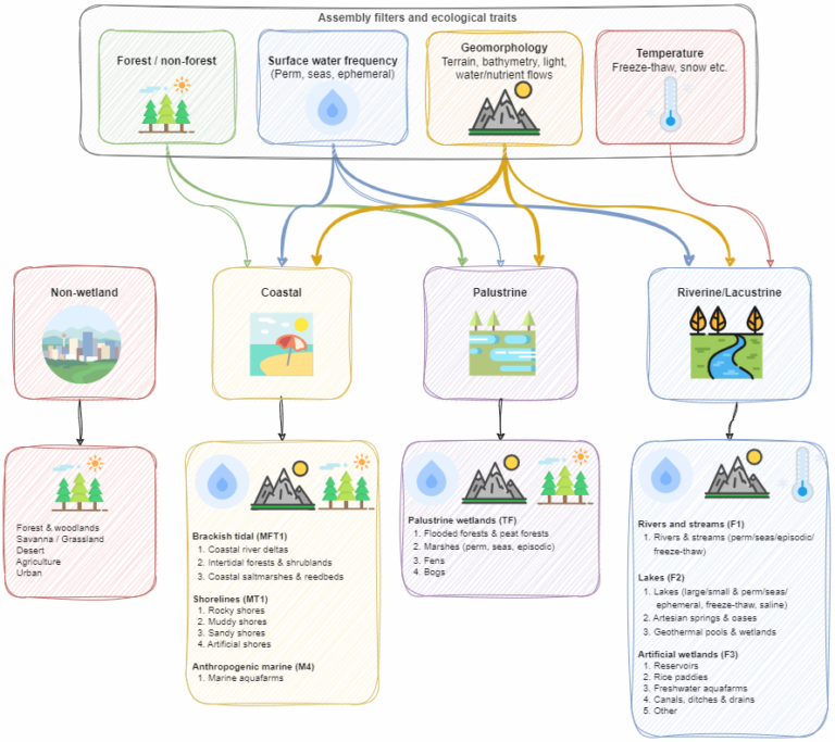 Towards a global high-resolution inventory of wetland typologies ...